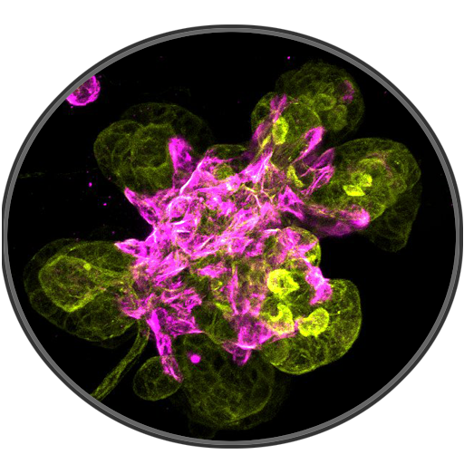 Roarty Logo – Roarty Lab @ BCM